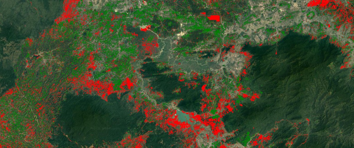 Mapping Forest Loss and Gain – Open Geo Blog